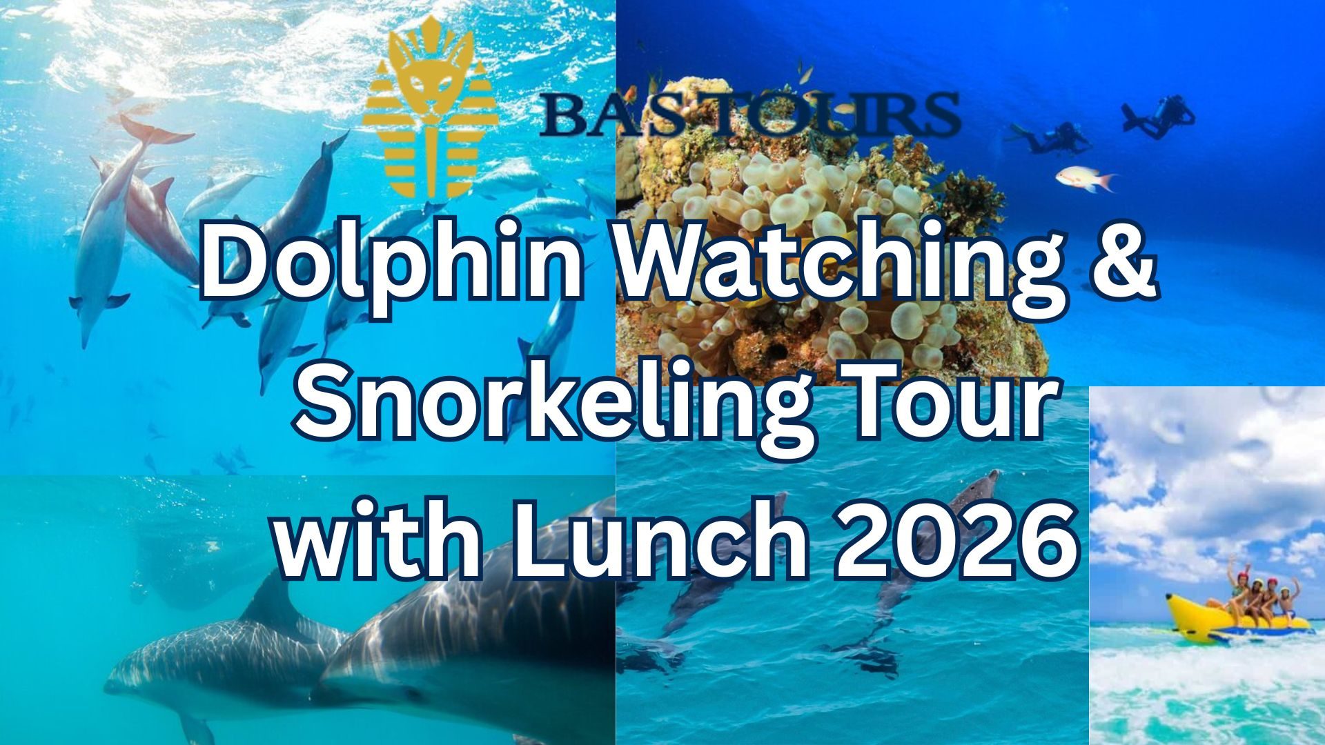 Dolphin Watching & Snorkeling Tour with Lunch 2026 - BAS TOURS